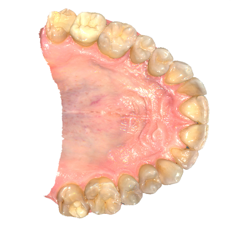 Laboratoire | Opera System